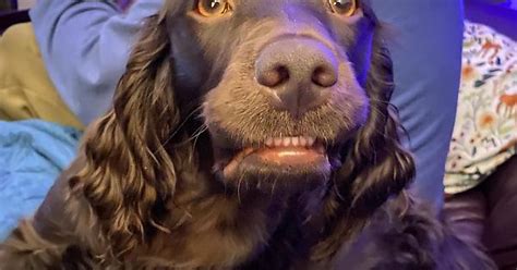 Say Cheeeeese Album On Imgur