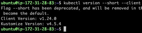 DevSecOps And Cloud Computing Coaching Install Kubectl On Ubuntu Instance How To Install
