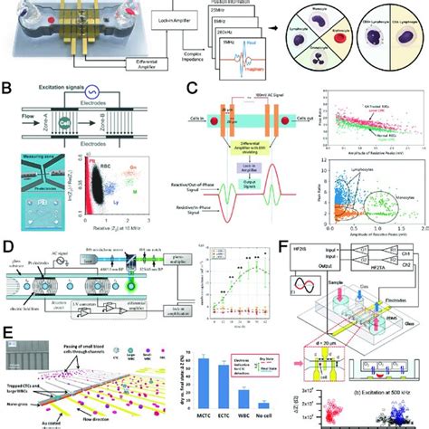 Label Free Cell Detection Based On Electrical Properties A Top And