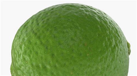 Lime 3d Model Turbosquid 2420501