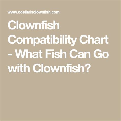Clownfish Compatibility Chart What Fish Can Go With Clownfish