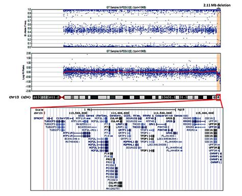 Chromosome Snp Microarray Labcorp At Marvin Peters Blog