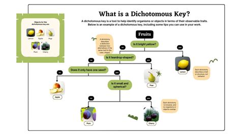 Taxonomy Key Examples Across Various Fields