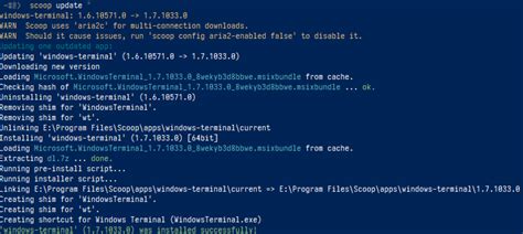 Windows Terminal 1710330 Flashback · Issue 9829 · Microsoft