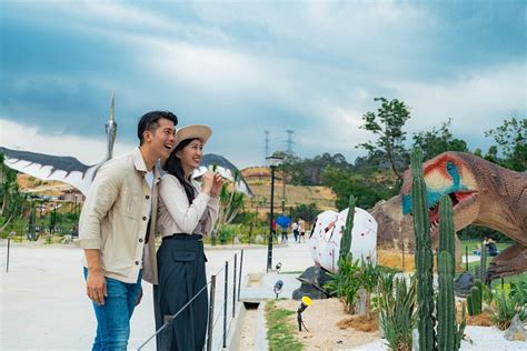 Monkeys Canopy Resort Updated 2025 Prices Reviews And Photos