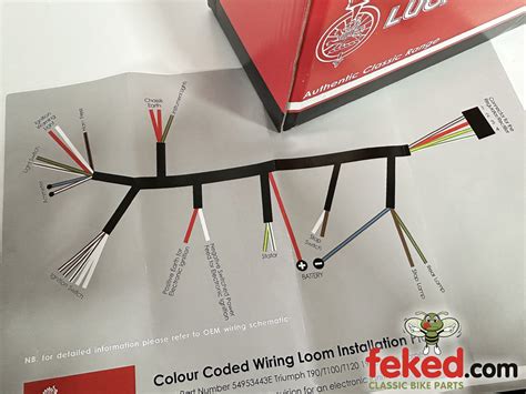 Electrical Wiring Harness Triumph Wiring Harness Triumph Main