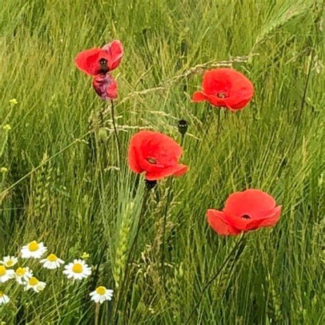 Andreas Becker Andybecker1 • Threads Say More