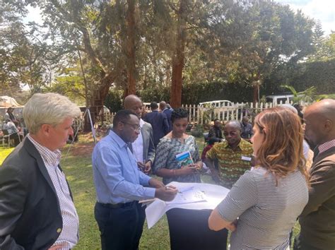 Fatima Gohar On Linkedin Esaro Reconnect Reflect