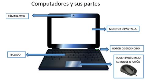 Partes Y Funciones Del Mouse De La Computadora