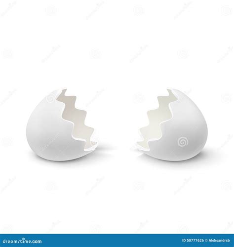 Realistic Egg Shell Icon Isolated On White Stock Vector Illustration