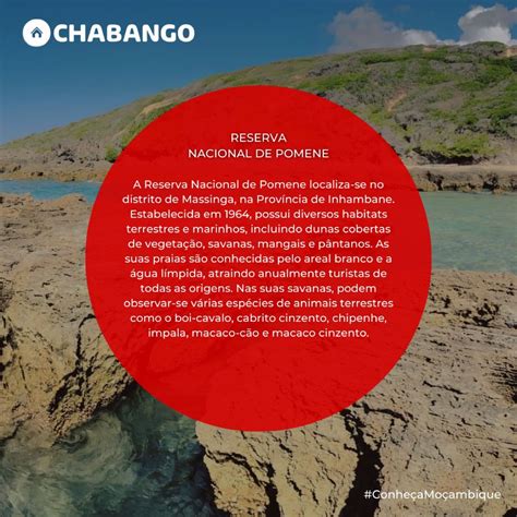Conheçamoçambique Imoveisdeluxo Estilodevida Habitamaputo Chabangoimobiliaria Somenteseja