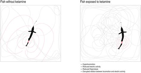 Journal Of Neuroscience Research Jnr Neuroscience Journal Wiley