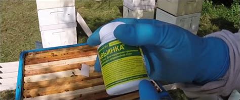 Муравьинка (4 пакета по 30 гр) | Магазин пчеловодства "Пчеловод КОМ"