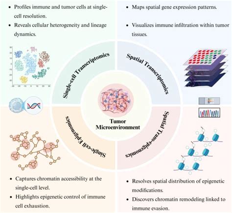 Decoding The Tumor Microenvironment Using Spatial And Single Cell Omics [image] Eurekalert