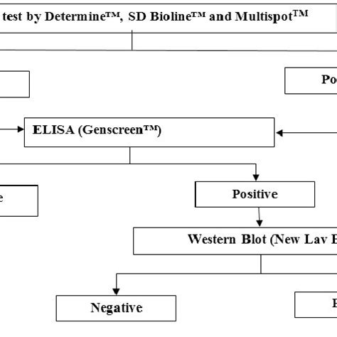 HIV Diagnostic Testing Algorithm At The UCRC SEREFO Laboratory Download Scientific Diagram