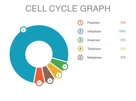 Cell Cycle By Jessica Jaldin