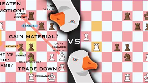 First Vs Second Order Decisionmaking