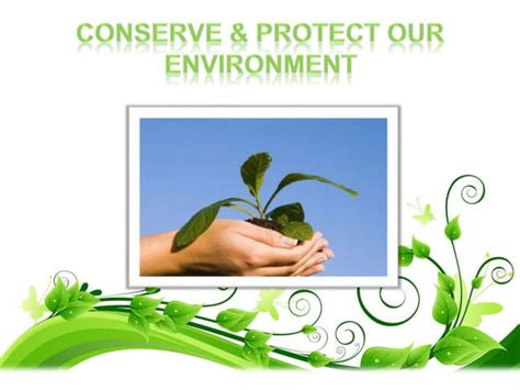 Pp Tx On The Environment Ppt Pp Tx On The Environment Ppt