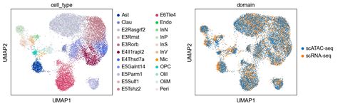 Stage Model Training Scglue Documentation