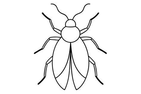 Bug Line Art Illustration Illustration Line Art 50995357 Vector Art At
