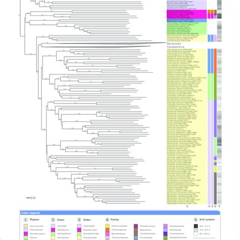 Pdf Genome Based Taxonomic Classification Of Bacteroidetes