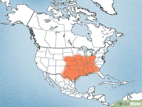 Brown Recluse Spider Location Map