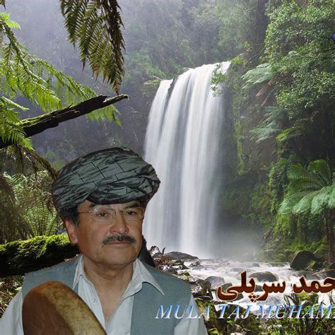 Beik Music بیک موزیک