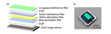 Lensless Dual Color Fluorescence Imaging Device Using Hybrid Filter