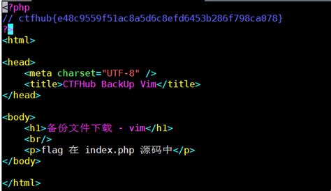 信息泄露 备份文件下载 Vimwickxiao的博客 Csdn博客
