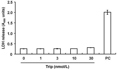 Lack Of A Cytotoxic Effect Of Triptolide On Htfs Cells In Collagen Gels