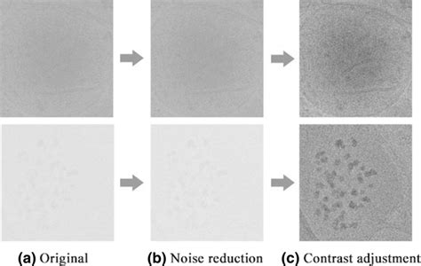 A Original 2d Projection Images B Images After Noise Reduction