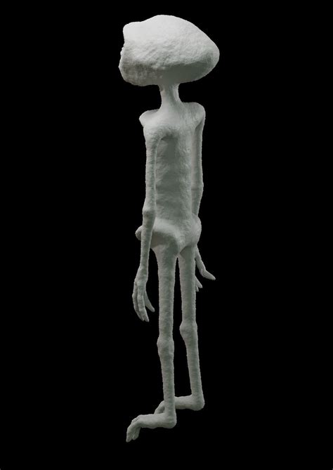 Alien Mummy From Nazca Peru Ready For 3d Printing 3d Model 3d