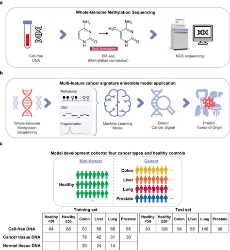 整合 cfdna 甲基化、拷贝数和片段化的癌症特征整体有助于多种癌症的早期检测 experimental and molecular