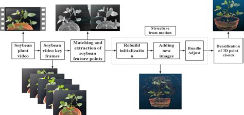 Frontiers Extraction Of Soybean Plant Trait Parameters Based On Sfm