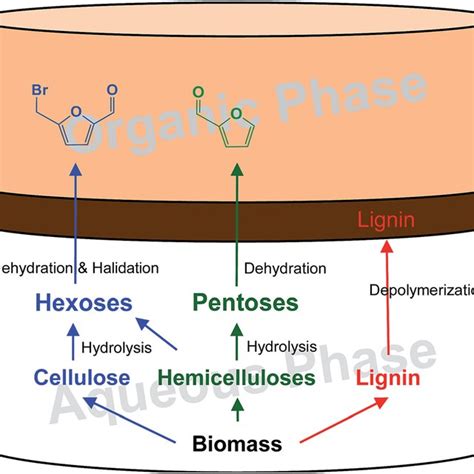 Biphasic System Consisting Of An Aqueous Phase Of Lithium Bromide