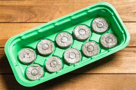 Peat Pellet Buyer S Guide Harvest To Table