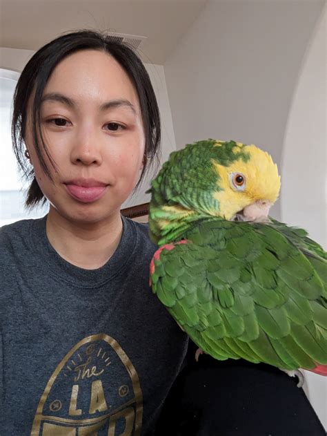 Bird Sitting And Boarding Los Angeles By Elle