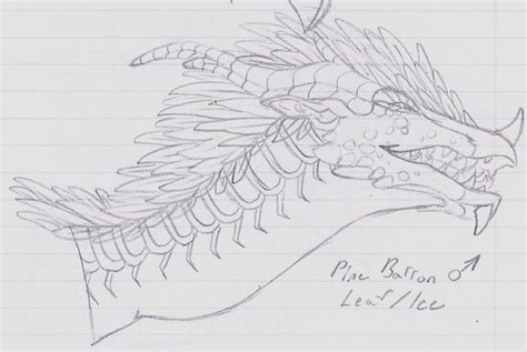 Pine Barron On Toyhouse