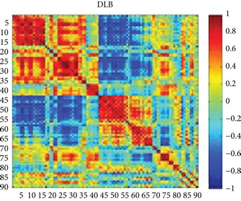 the partial correlation coefficient matrices and the binary matrices of