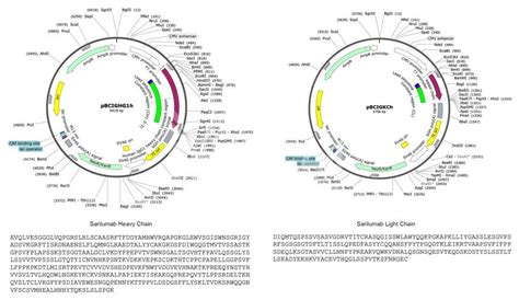Sarilumab Biosimilar Antibody Bicell Scientific®