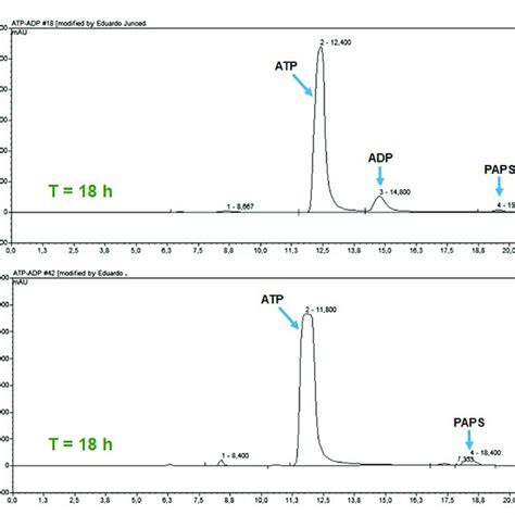 Hplc Analysis Of The Atp Regeneration Module At 18 H Of Reaction A Download Scientific