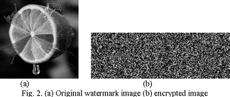 Modified Discrete Cosine Transform Semantic Scholar