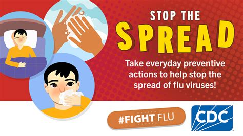 Influenza Flu Influenza Flu Cdc