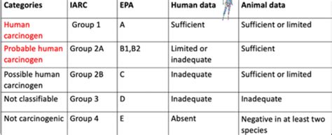 Toxicology Lecture 3 Genotoxic Carcinogens And Classifications Flashcards Quizlet