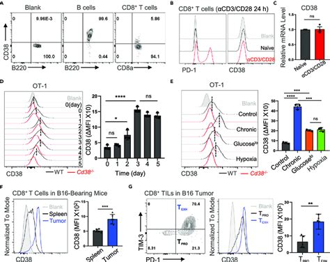 The Dynamic Expression Of Cd38 In Cd8 T Cells A Representative Facs