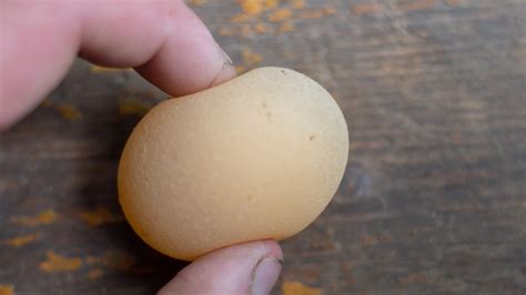 The 15 Most Common Egg Defects And How They Happen