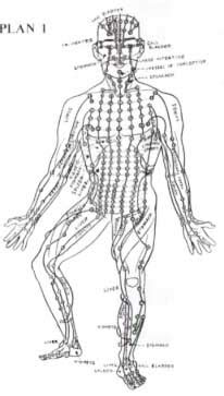 Acupressure Points Chart