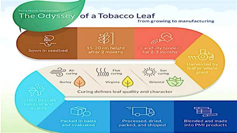 History And Types Of Tobacco Usepptx