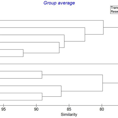 Bray Curtis Similarity Dendrogram Of The Stations Download Scientific
