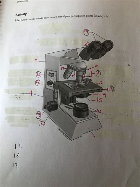 Microscope Diagram Quizlet